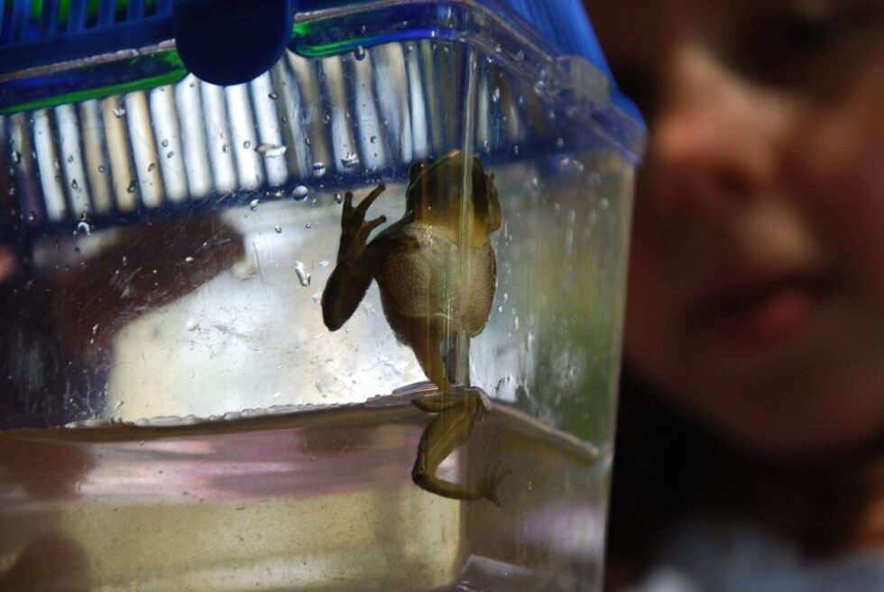 Explore | Sunshine Coast Botanical Garden