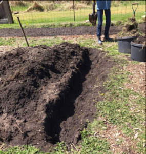 Trench Composting | Sunshine Coast Botanical Garden